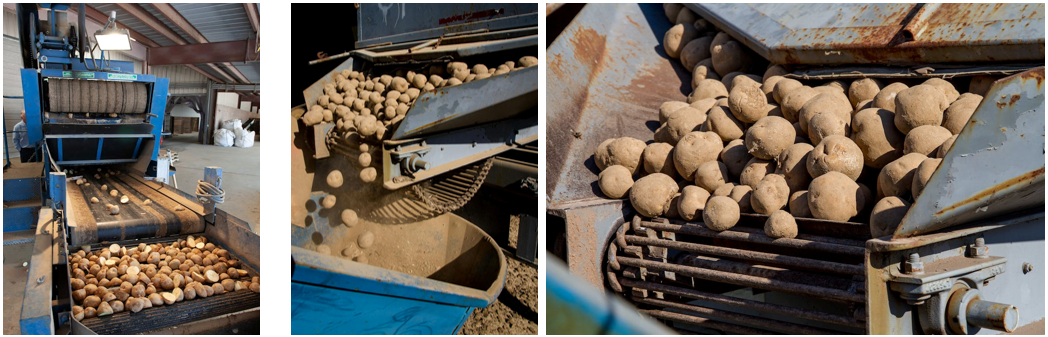 Evaluating Conveyor Belt Systems using DEM Simulation