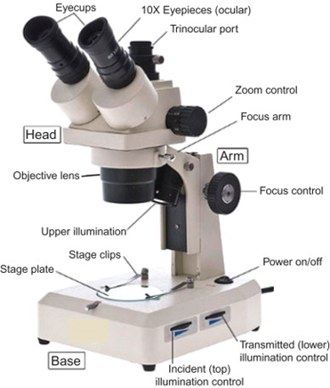 Highlights in Optical Microscope Industry