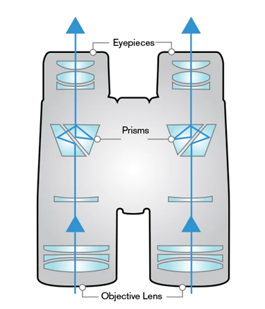 Roof Prism Modeling in Zemax