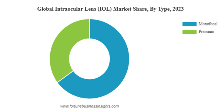 Intraocular Lens: From Technique to Market