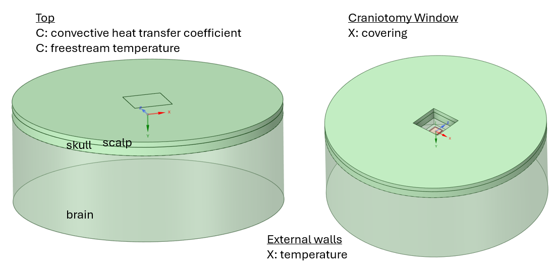 Brain Implant Thermal Simulation Using Ansys Fluent