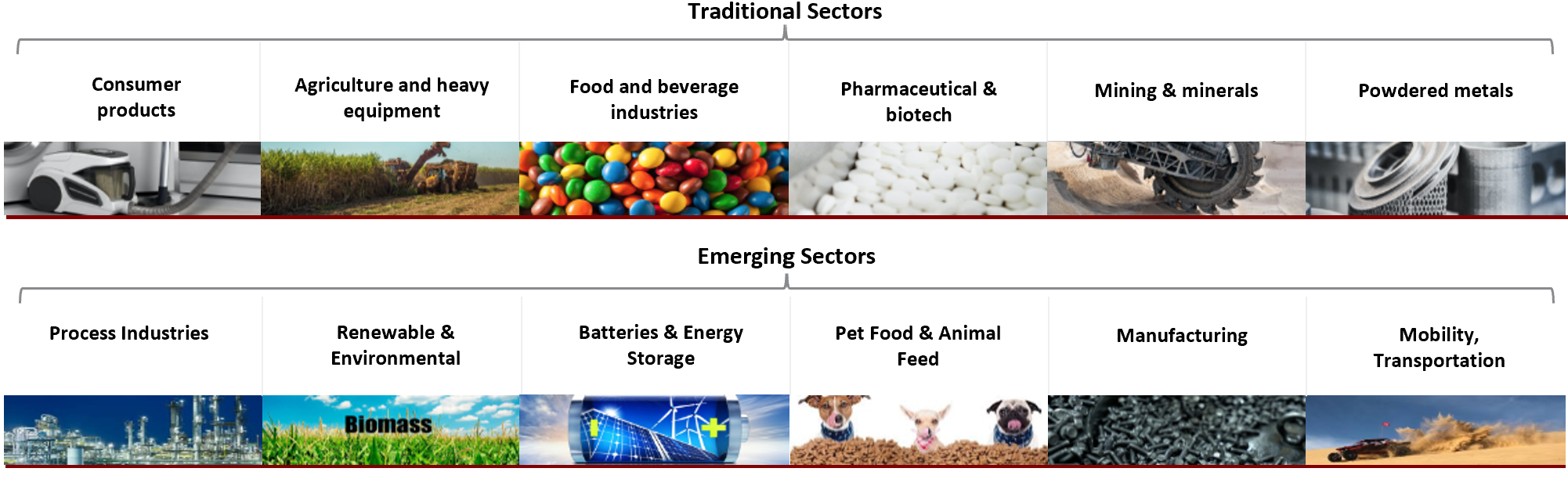 Simulation of Particle Dynamics in Complex Systems