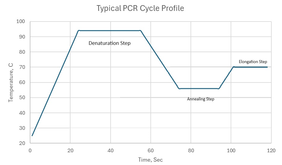 The Power of PCR in Disease Diagnosis